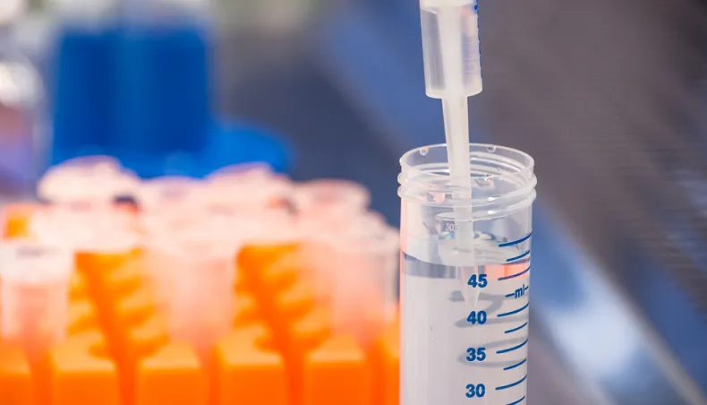 High concentration protein formulation – challenges and solutions